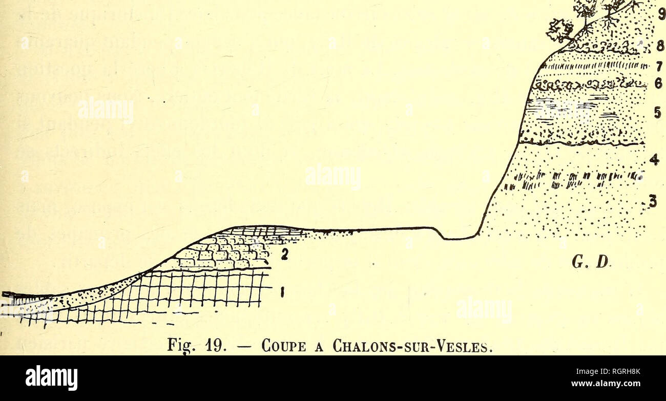 Pisidium sp hi-res stock photography and images - Alamy