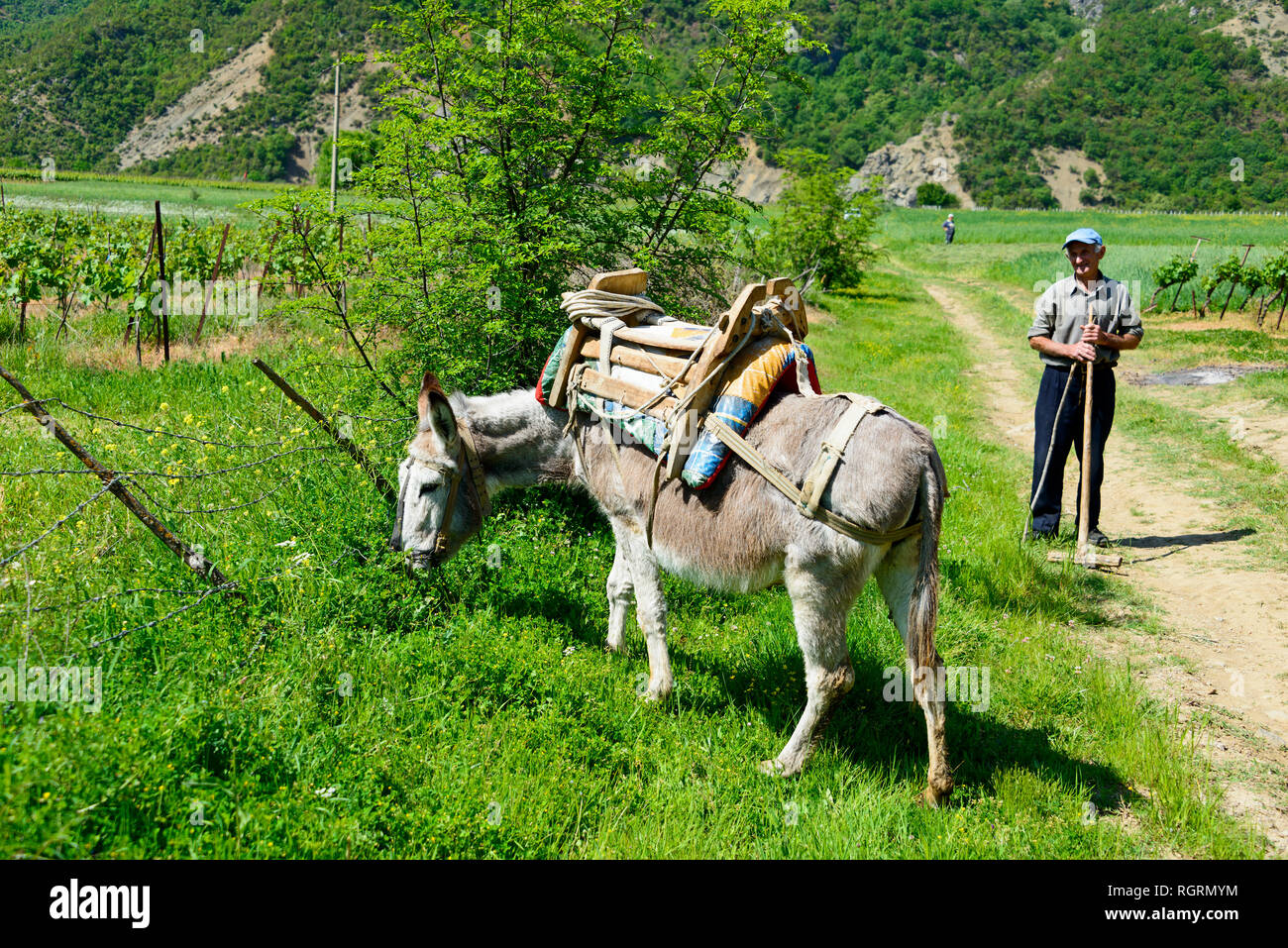 Packsaddle hi-res stock photography and images - Alamy