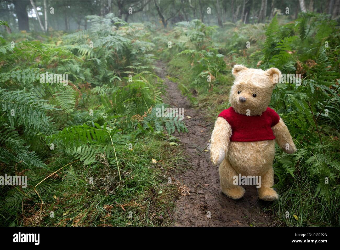 Christopher Robin Winnie The Pooh Stock Photos & Christopher Robin ...