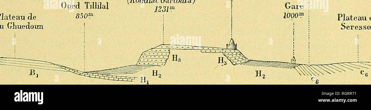 Tiaret hi-res stock photography and images - Alamy
