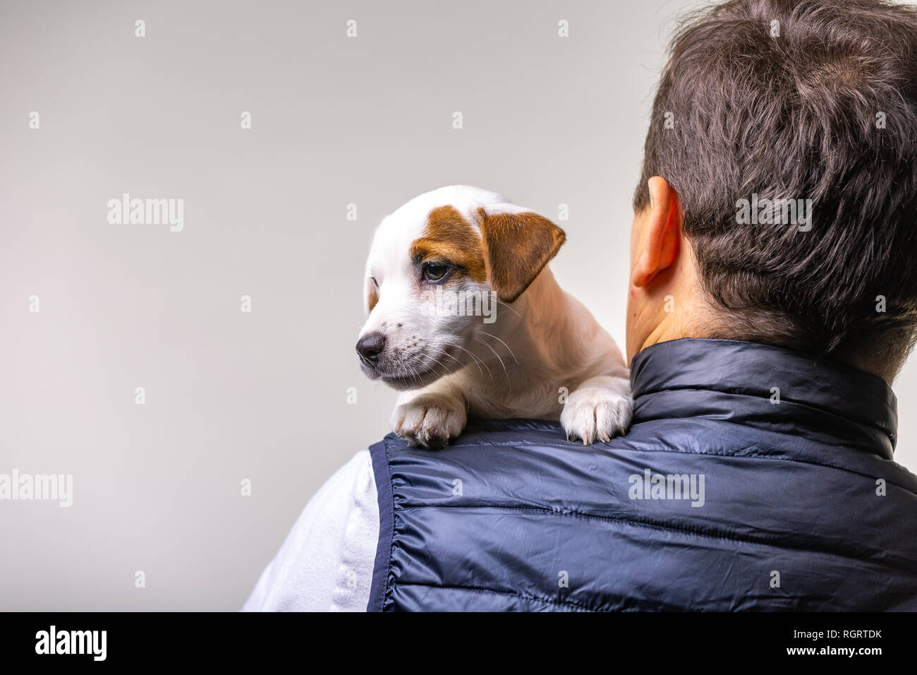 Jack russel and owner white background hi-res stock photography and ...