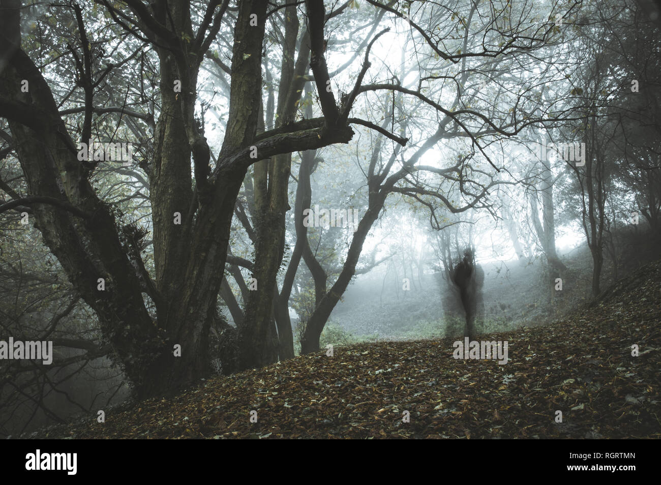 A spooky, ghostly figure on a path in a foggy forest in winter with a ...