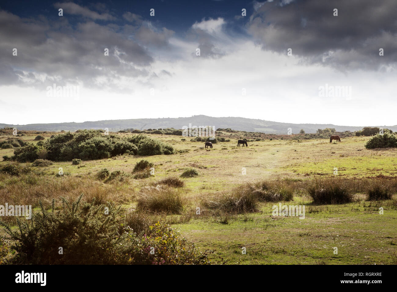 Empty desolate beautiful hi-res stock photography and images - Alamy