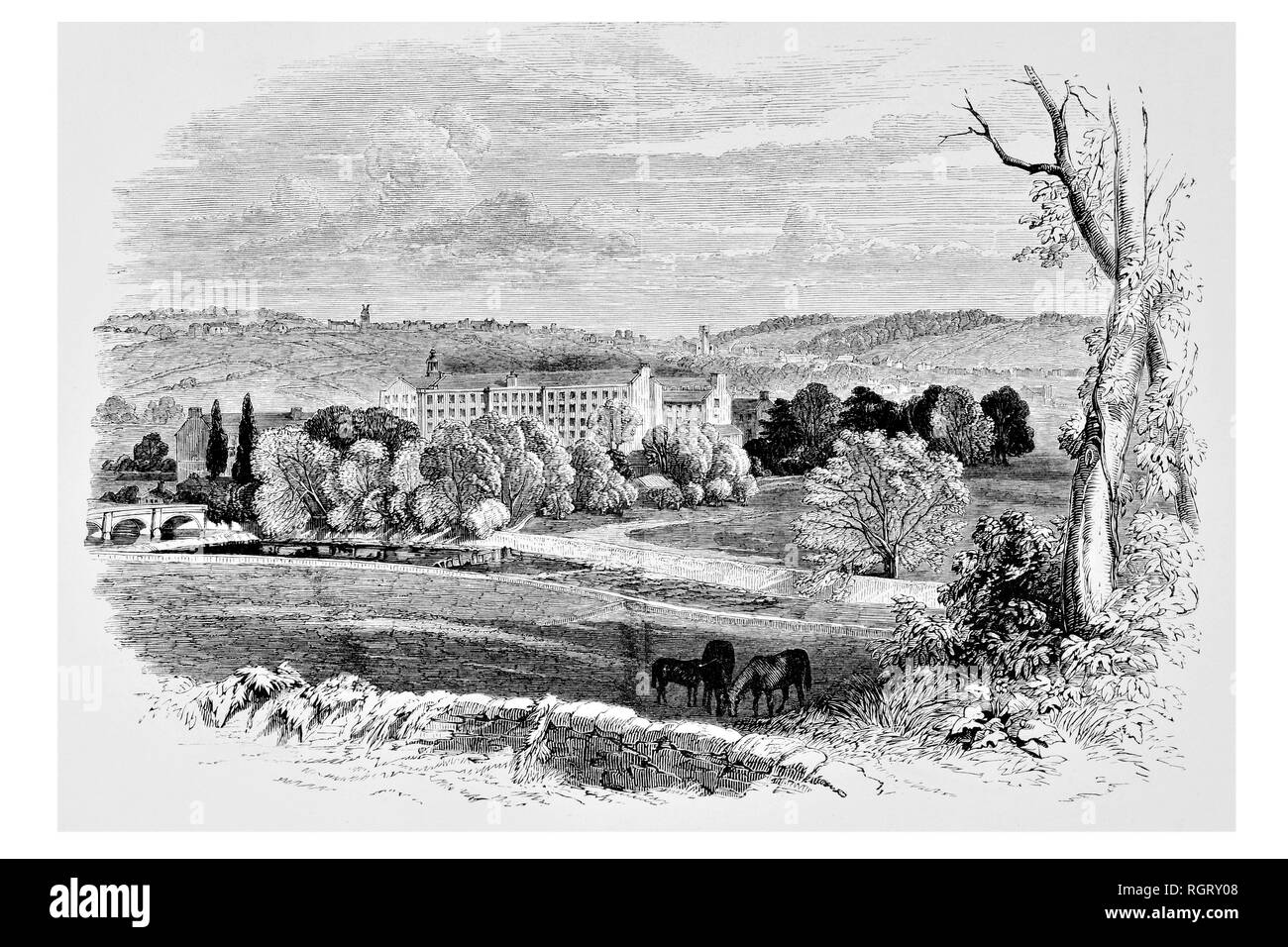 Strutts hi-res stock photography and images - Alamy