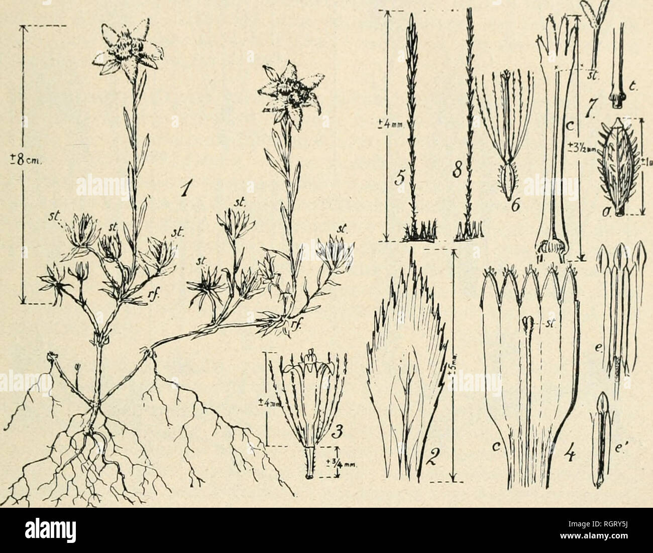 Spoc hi-res stock photography and images - Alamy