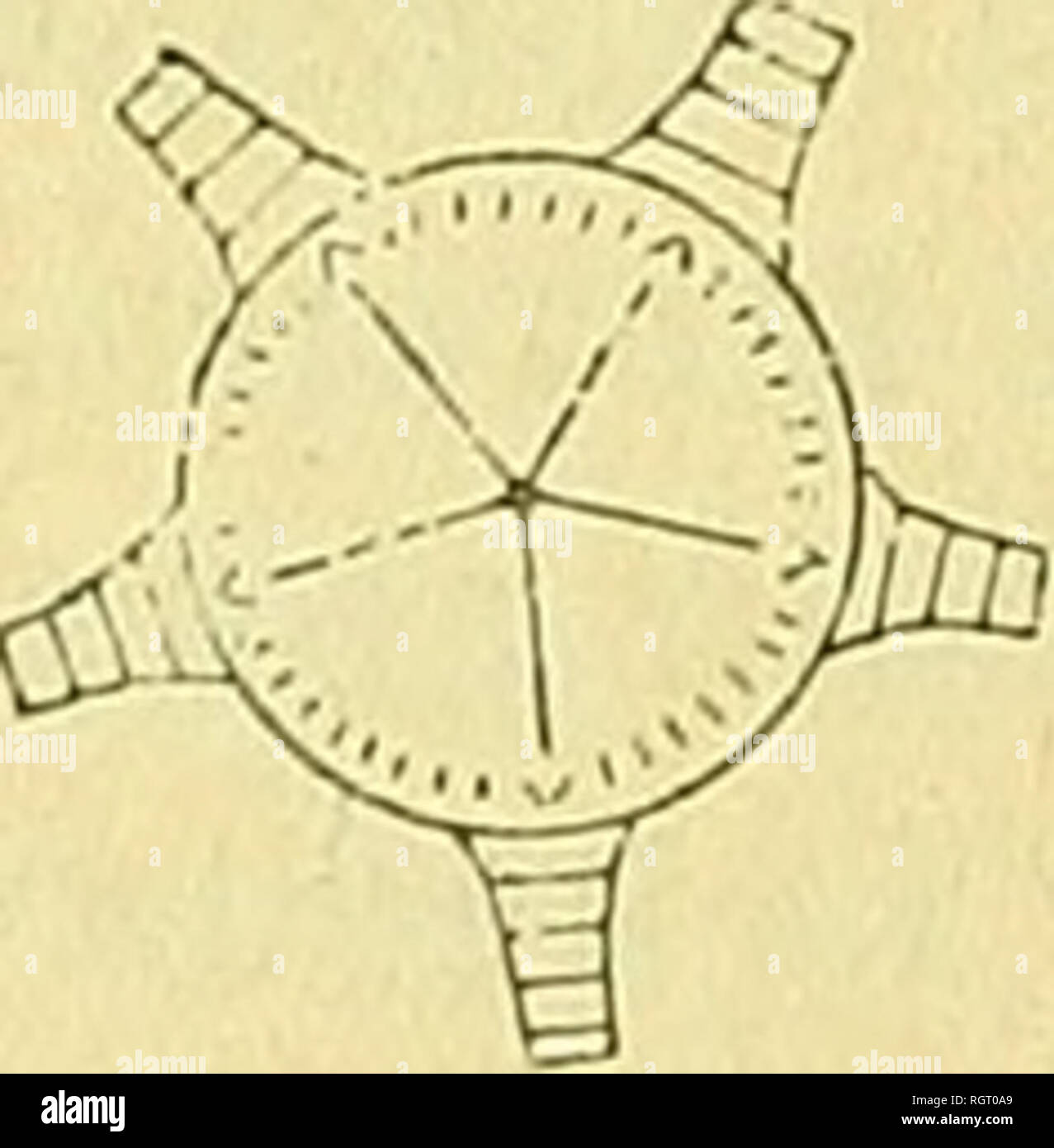 Colonne ronde hi-res stock photography and images - Alamy