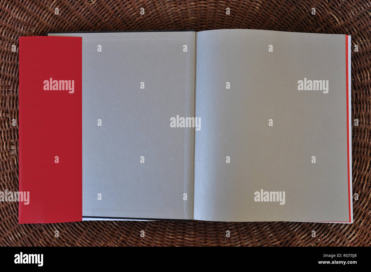 Blank book pages paper background and dust jacket flaps with place for ...