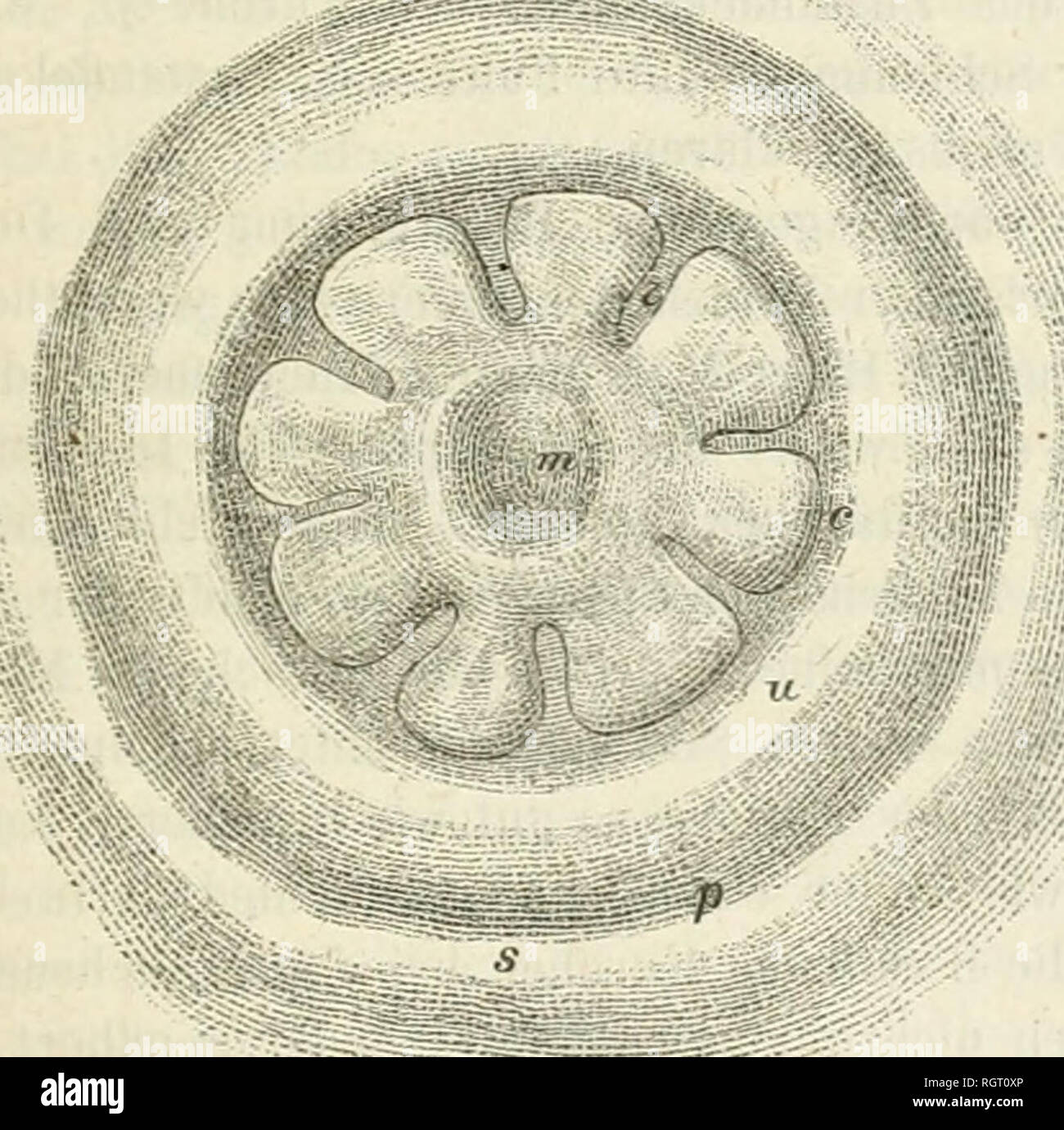 Bung science hi-res stock photography and images - Alamy