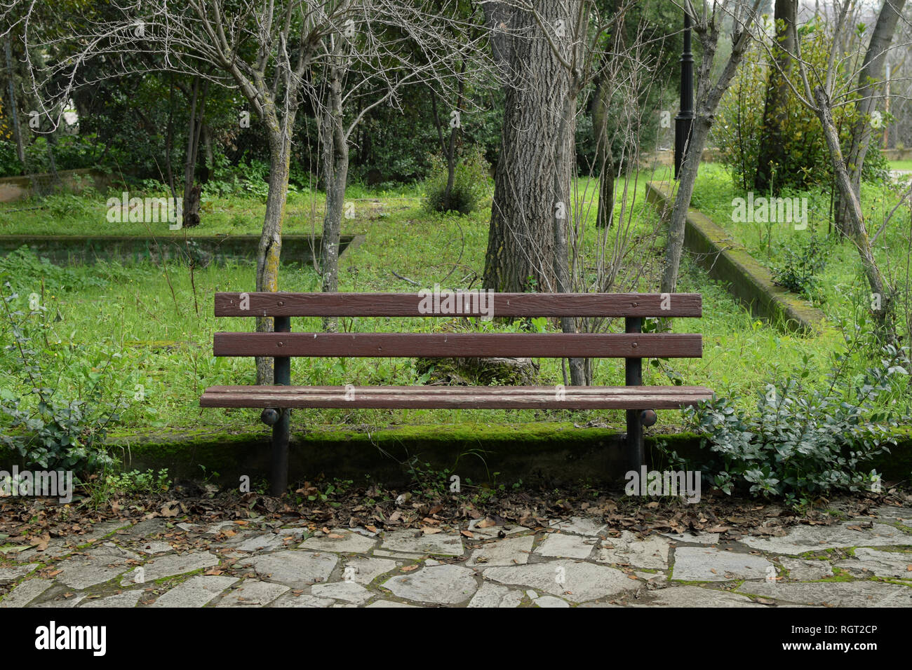 Wooden bench in public park with plants and trees Stock Photo - Alamy