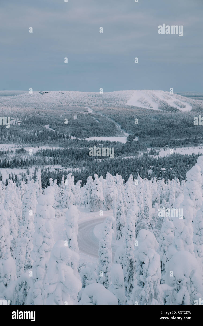 Snowy trees in magnificent arctic forest in amazing Arctic countryside ...