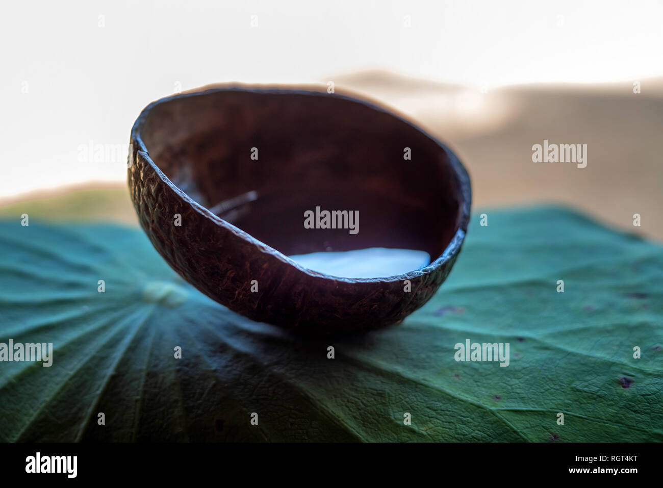 Coconut milk splash in an empty shell close up Stock Photo - Alamy