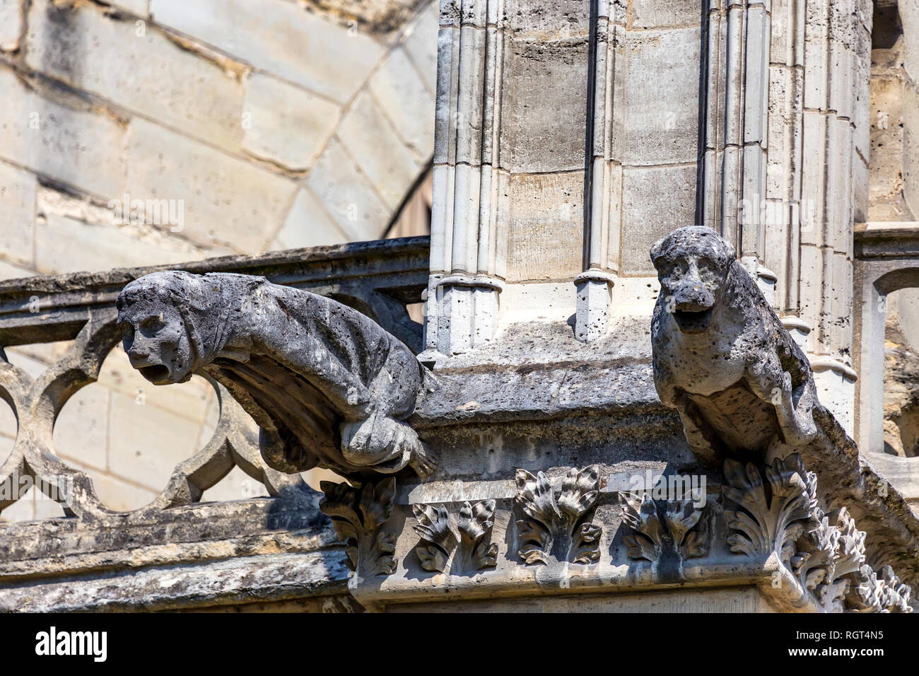 Beautiful Gargoyles of Notre-Dame de Paris facade Stock Photo - Alamy