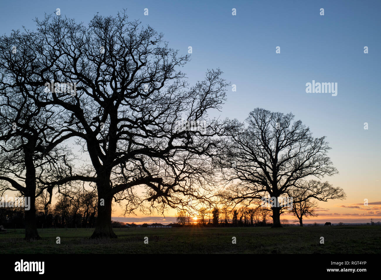 King's sutton sunset hi-res stock photography and images - Alamy