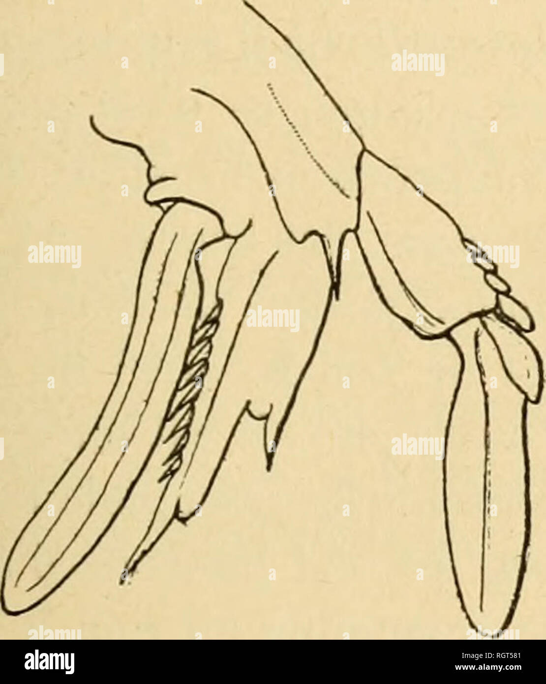 Pointe du doigt hi-res stock photography and images - Alamy