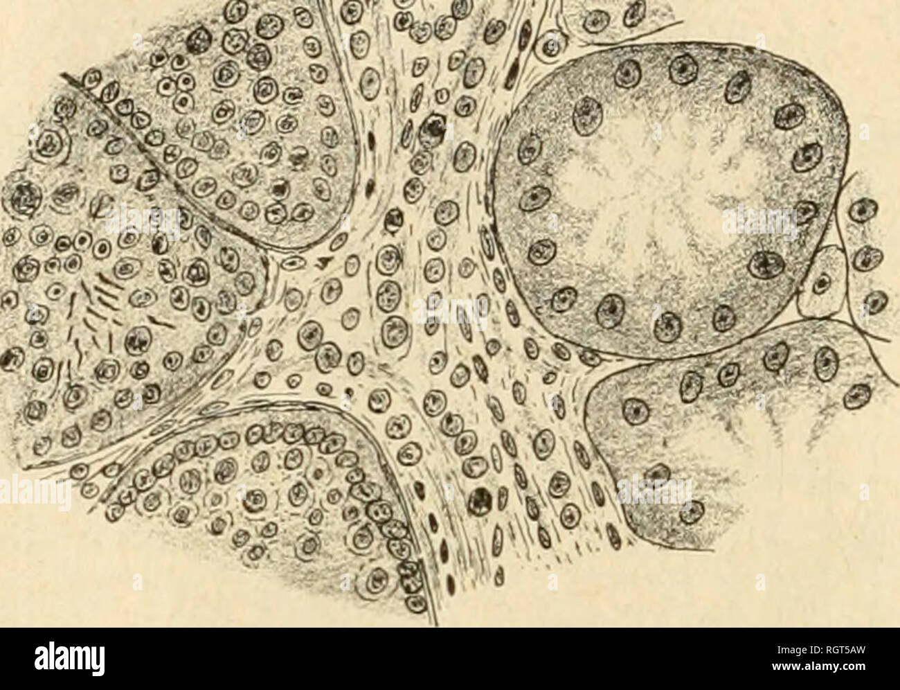 Tubes ronds hi-res stock photography and images - Alamy