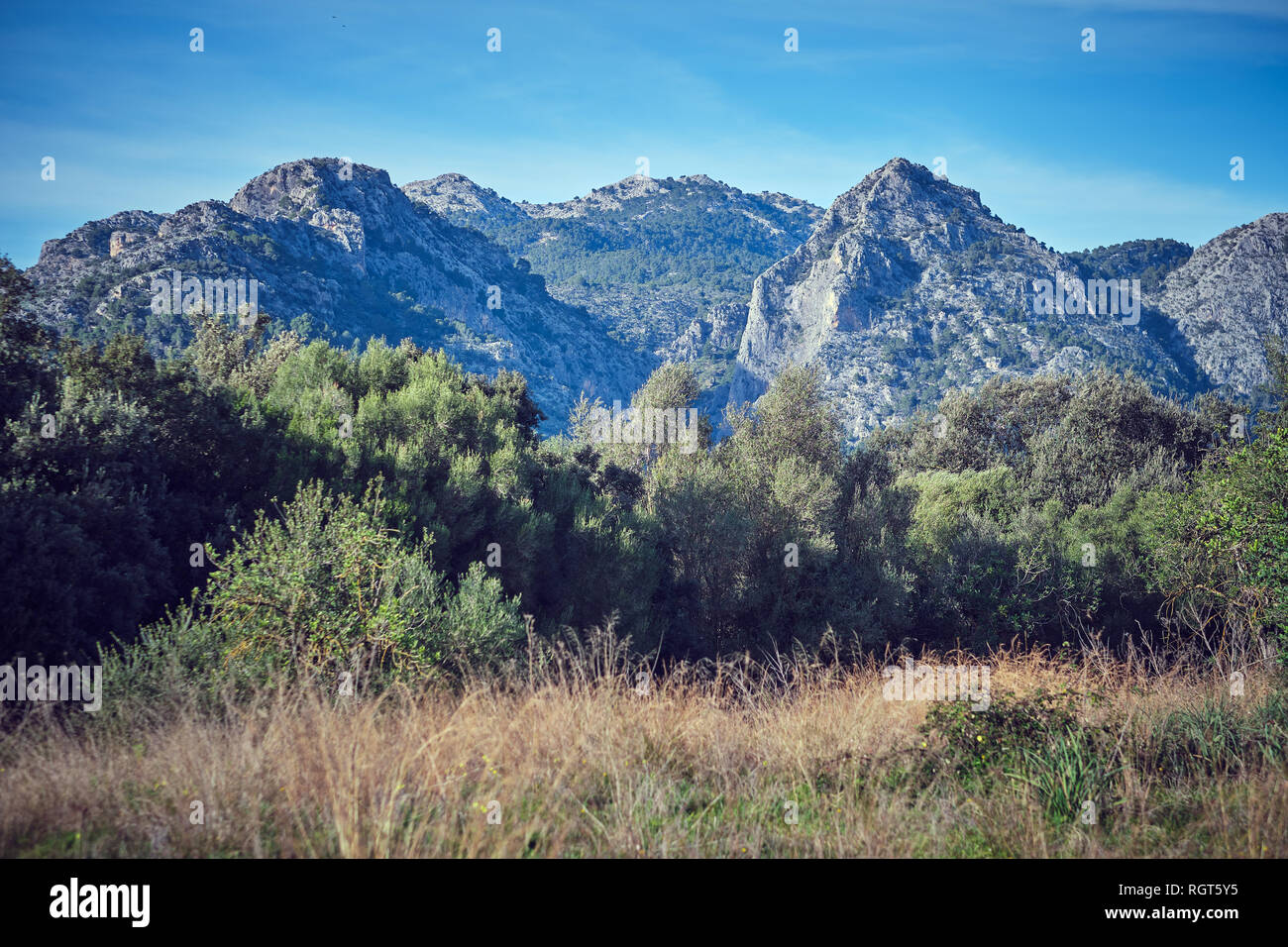 Amazing view of mountains landscape Stock Photo - Alamy