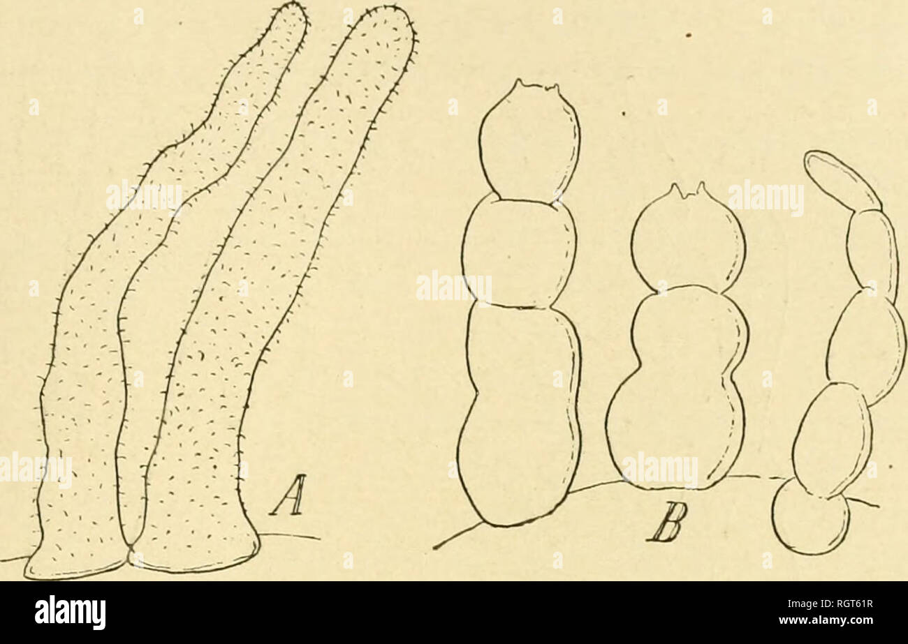 2994 ac hi-res stock photography and images - Alamy