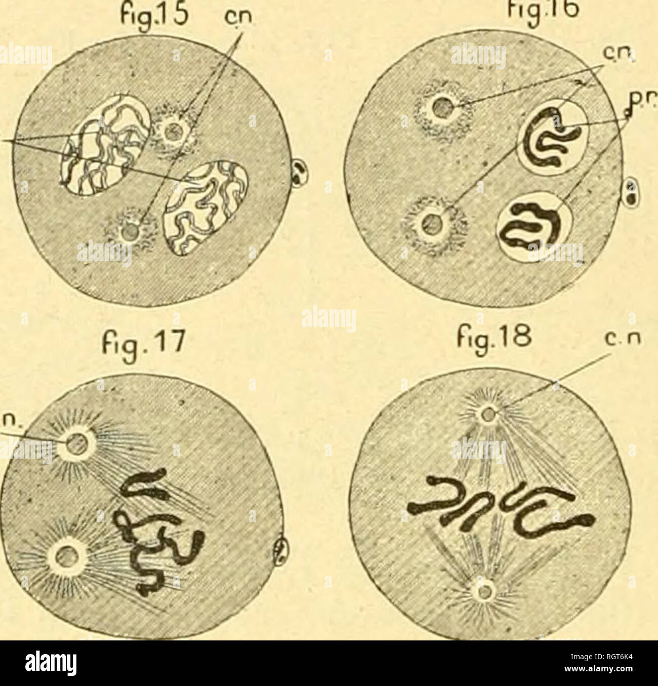 Gnation hi-res stock photography and images - Alamy