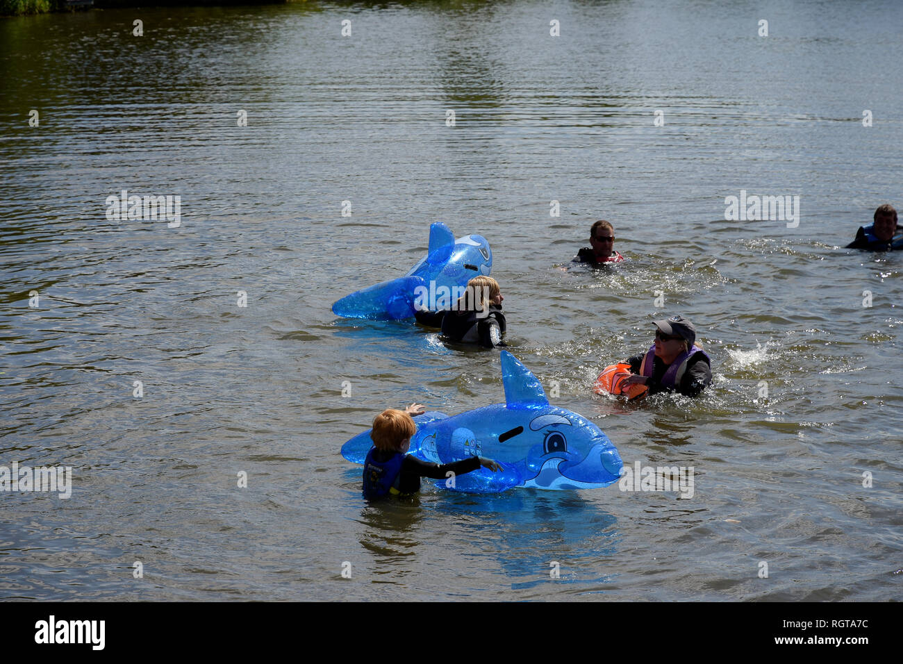 Newfoundland Rescue Dogs in action Poolsbrook country park Derbyshire ...