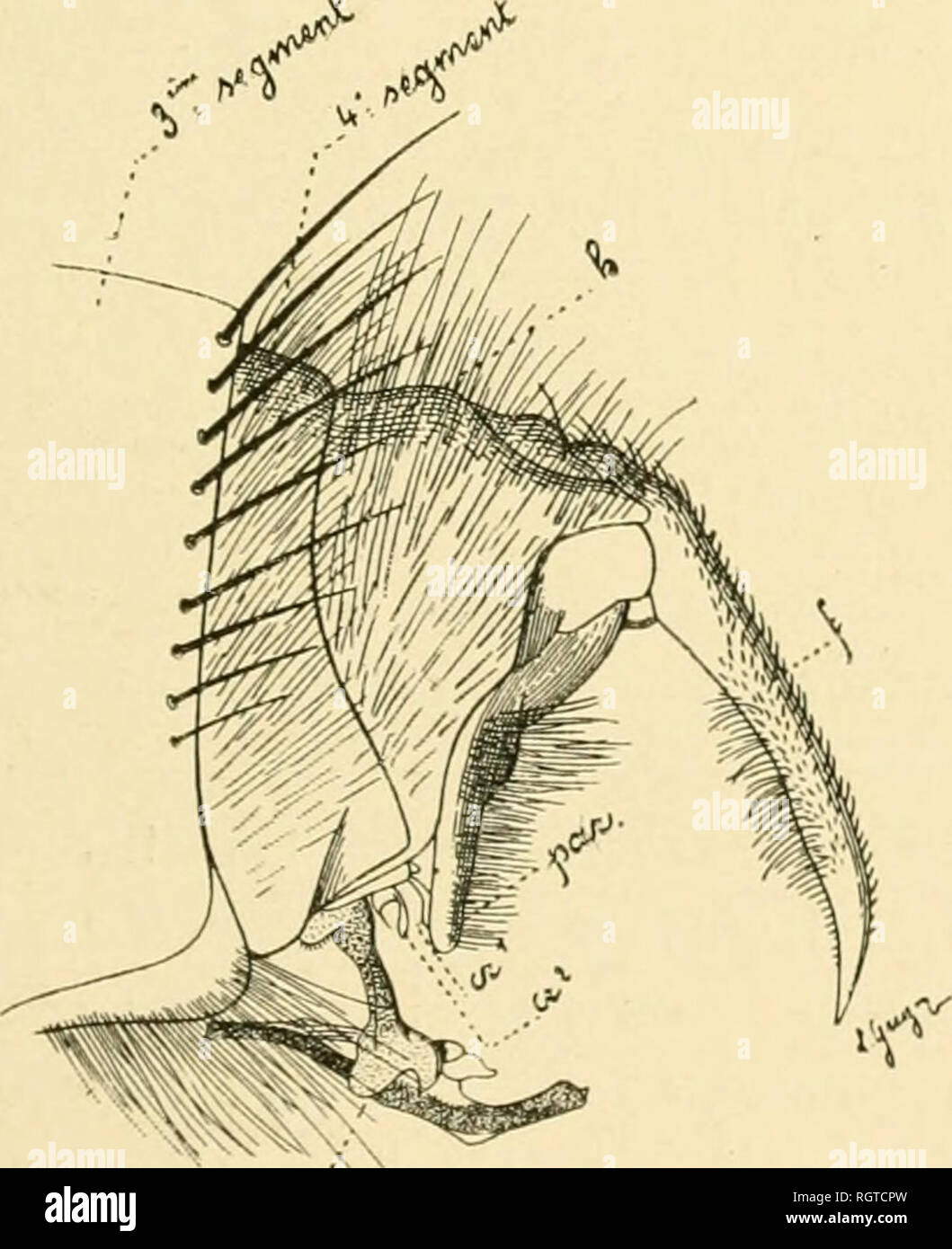 Les paraboles hi-res stock photography and images - Alamy