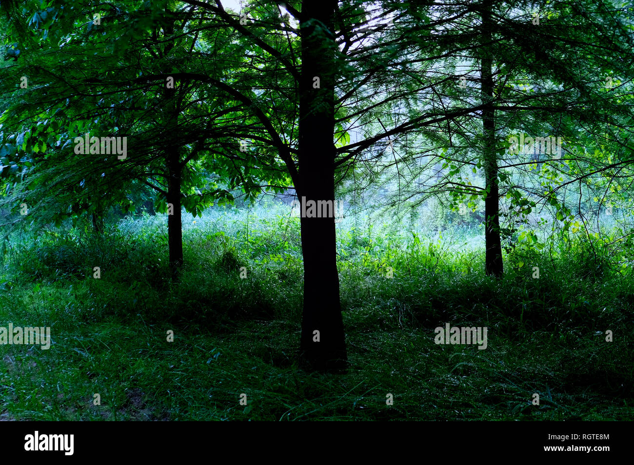 Wet raleigh travel hi-res stock photography and images - Alamy
