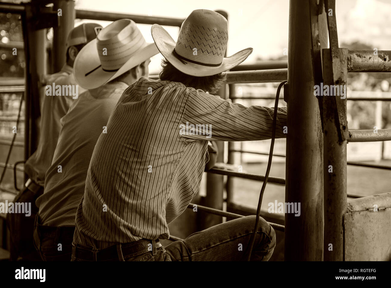 Professional rodeo cowboys Stock Photo - Alamy