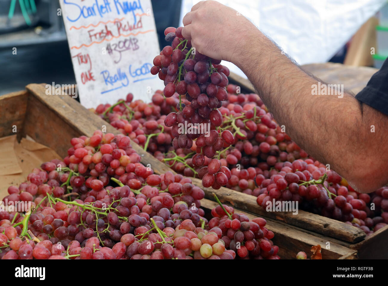 Hand picking Fresh grapes for sale at open market Stock Photo - Alamy