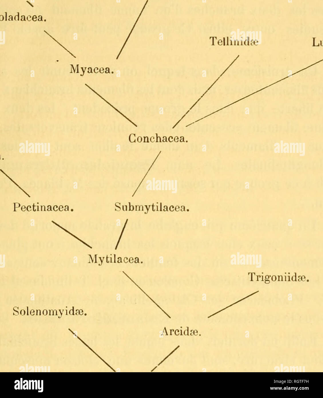 Nouvelles subdivisions hi-res stock photography and images - Alamy