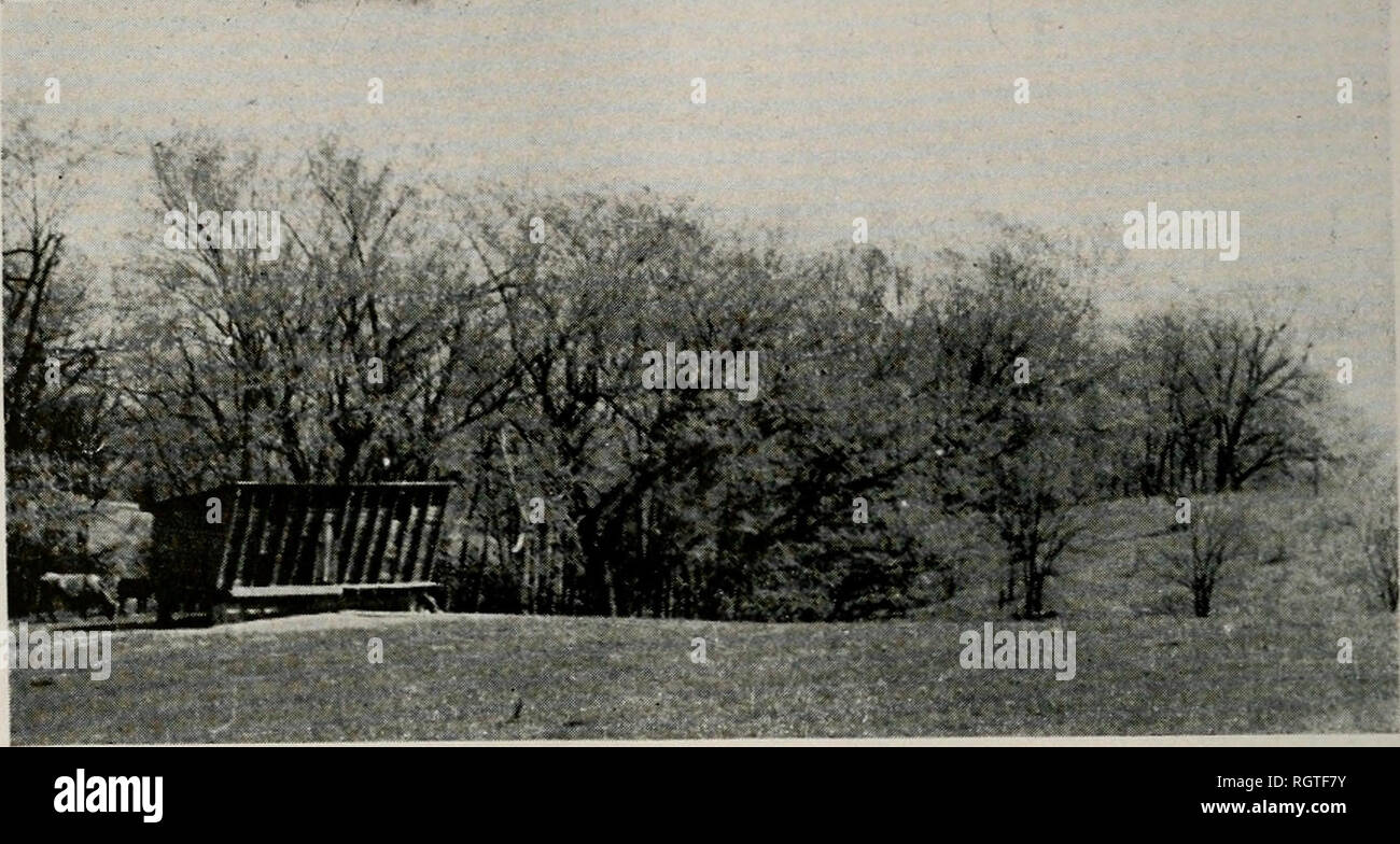 . Bulletin. Natural history; Natural history. 504 Illinois Natural ...