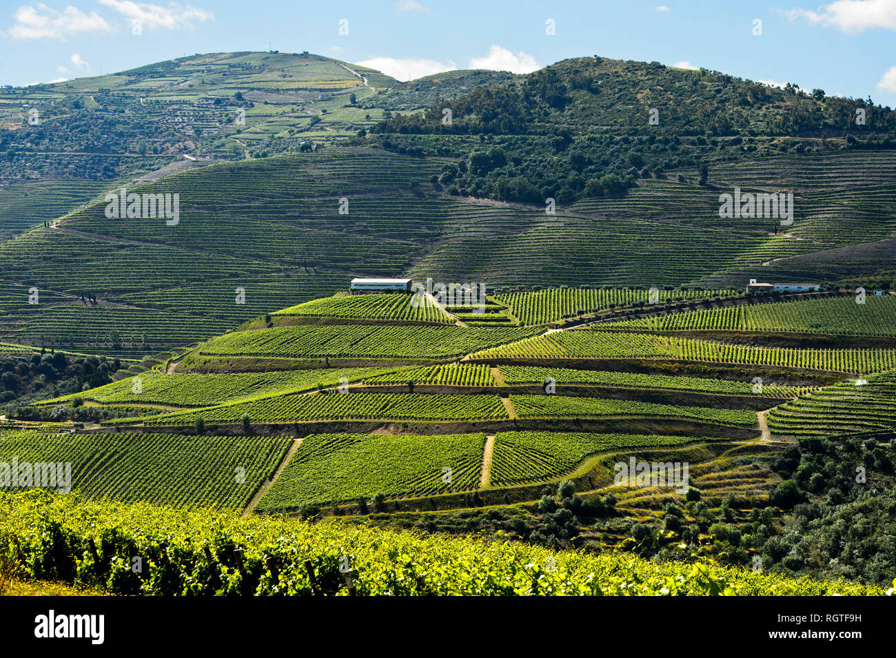Agriculture In Portugal High Resolution Stock Photography and Images ...