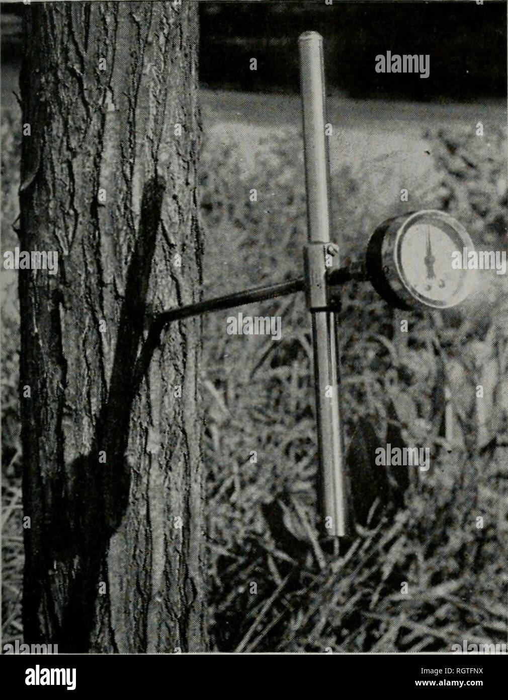 Wood increment core hi-res stock photography and images - Alamy