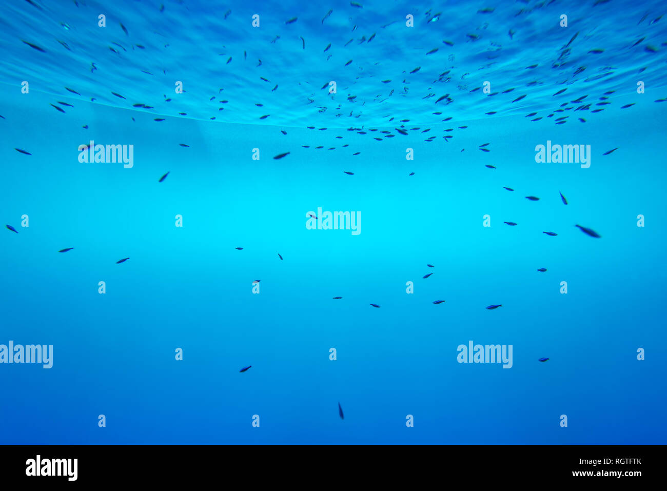 Underwater surface texture hi-res stock photography and images - Alamy