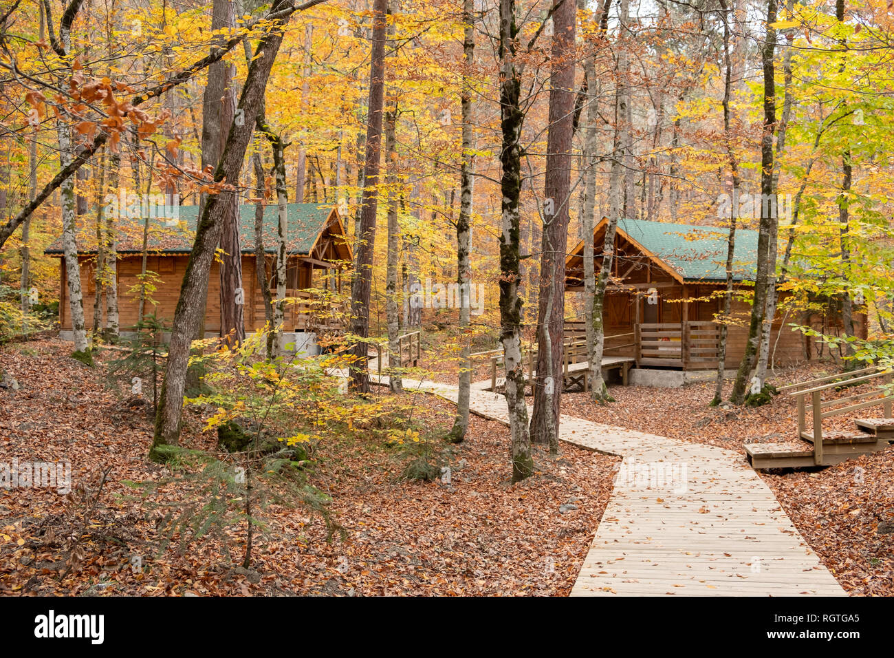 Landscape view of a home in the fall with all the colorful foliage ...