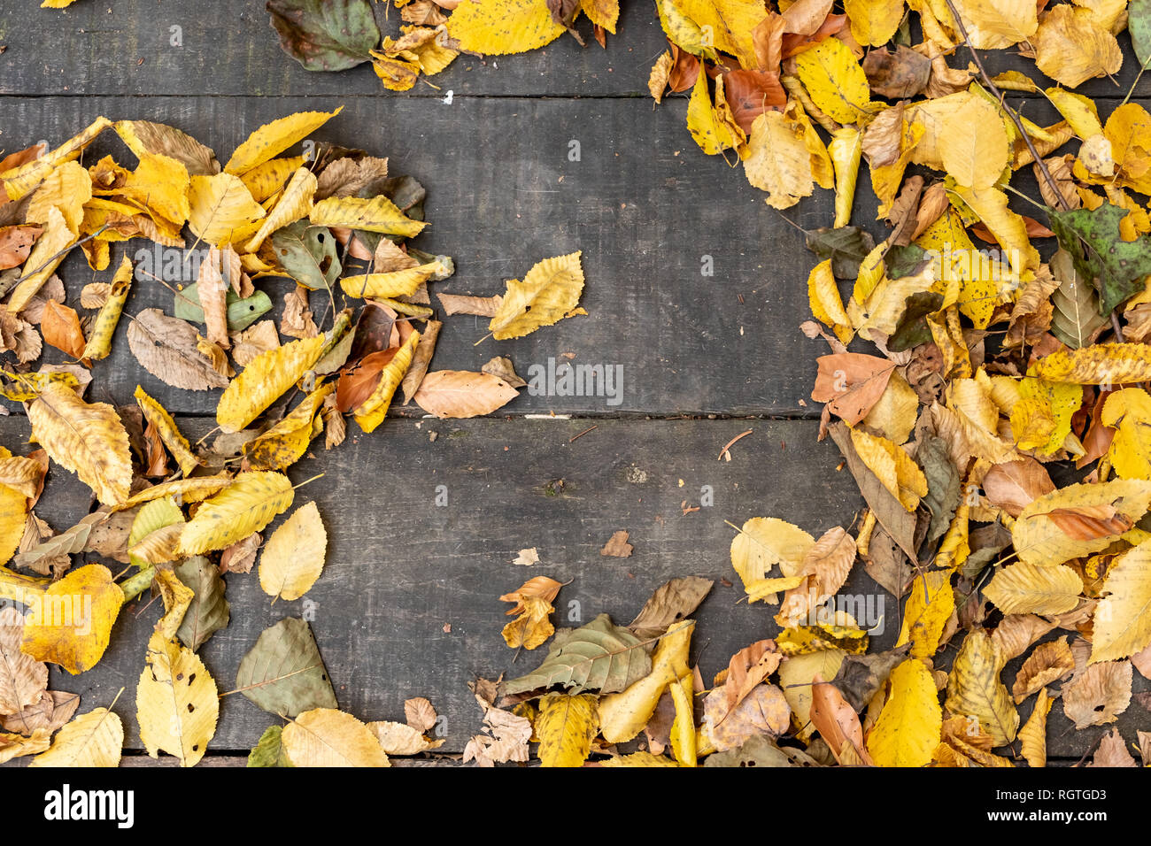 autumn leaves at floor Stock Photo - Alamy