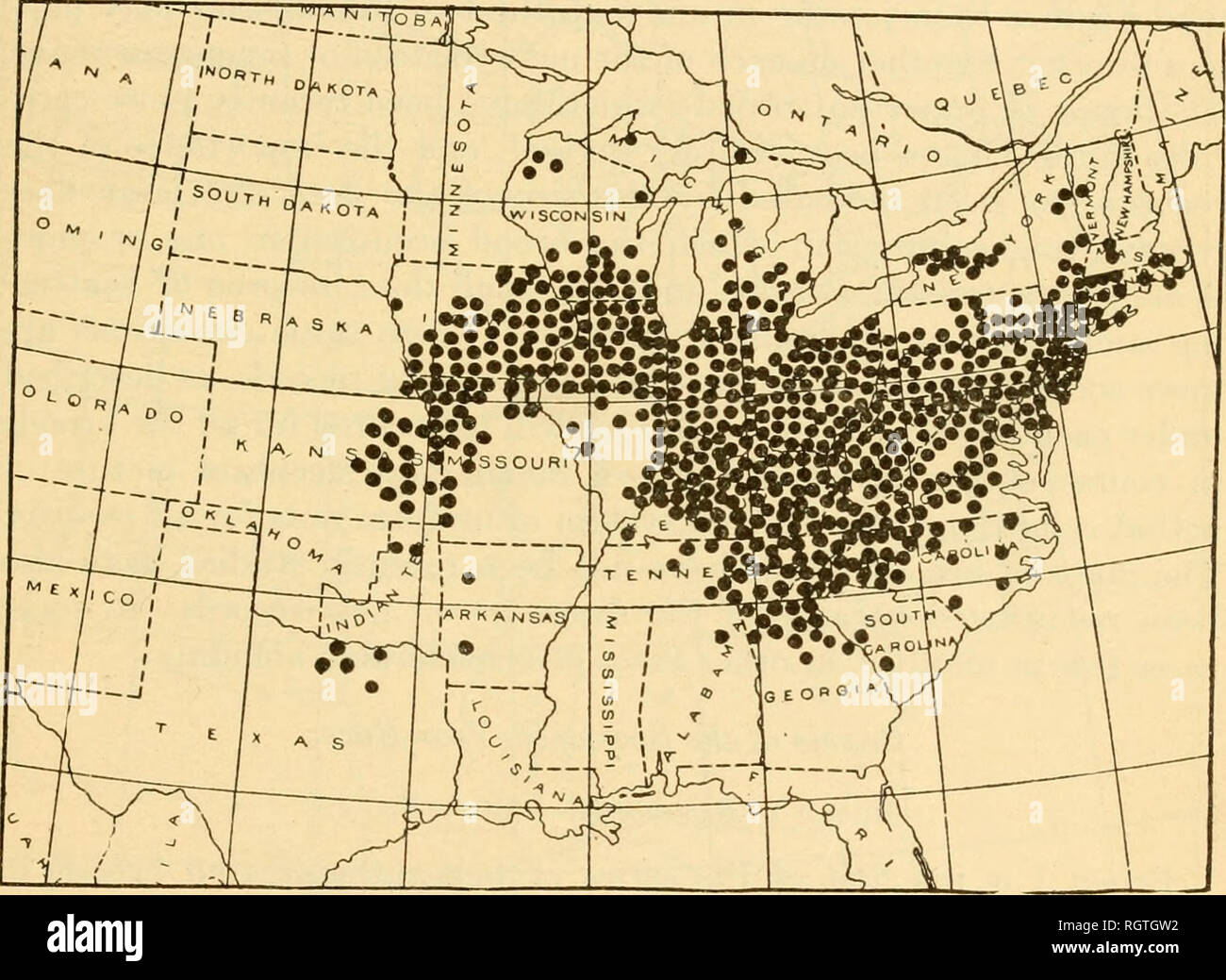 Insect pests and dense pests hi-res stock photography and images - Alamy