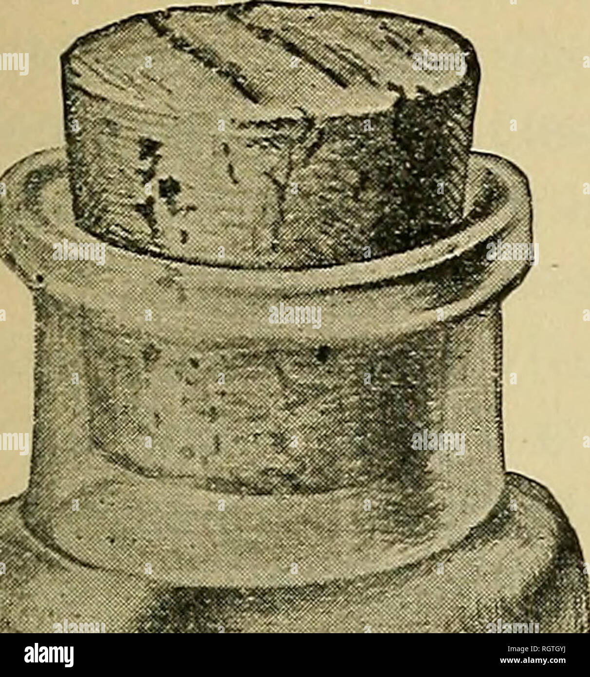 . Bulletin - United States National Museum. Science. [65] COLLECTING ...