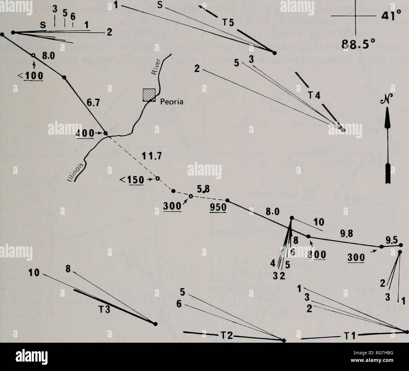 How Far Is 300 Meters In A Straight Line