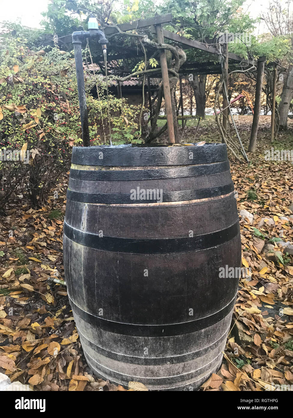 Barrel with running water from a spring Stock Photo - Alamy