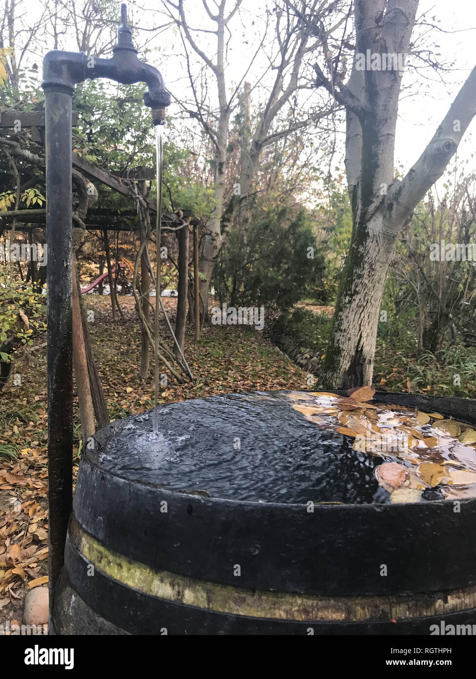 Barrel running hi-res stock photography and images - Alamy