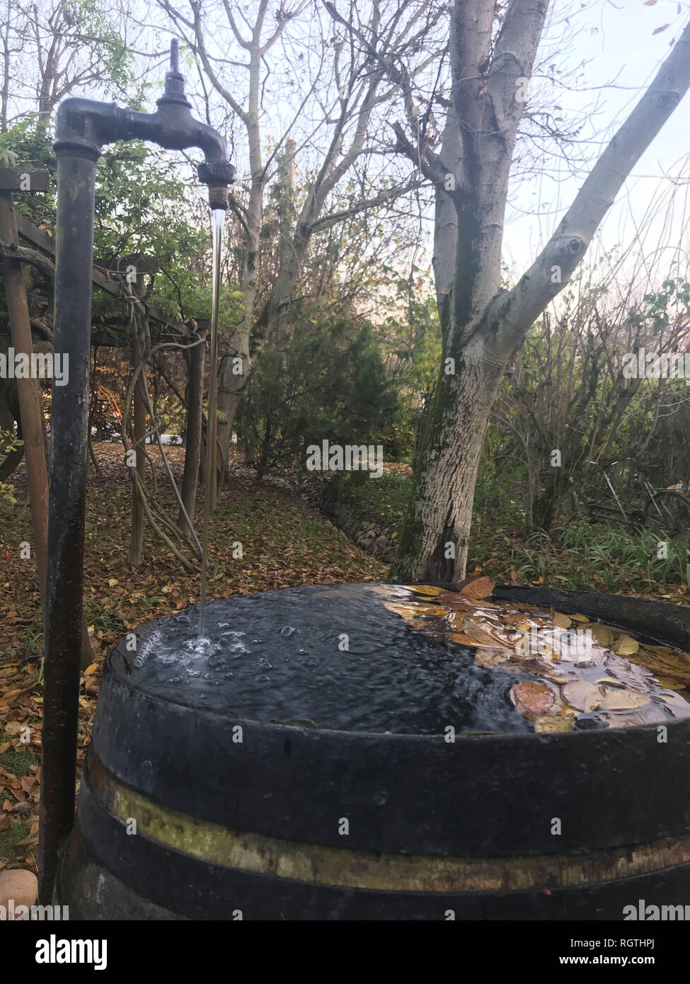 Barrel running hi-res stock photography and images - Alamy