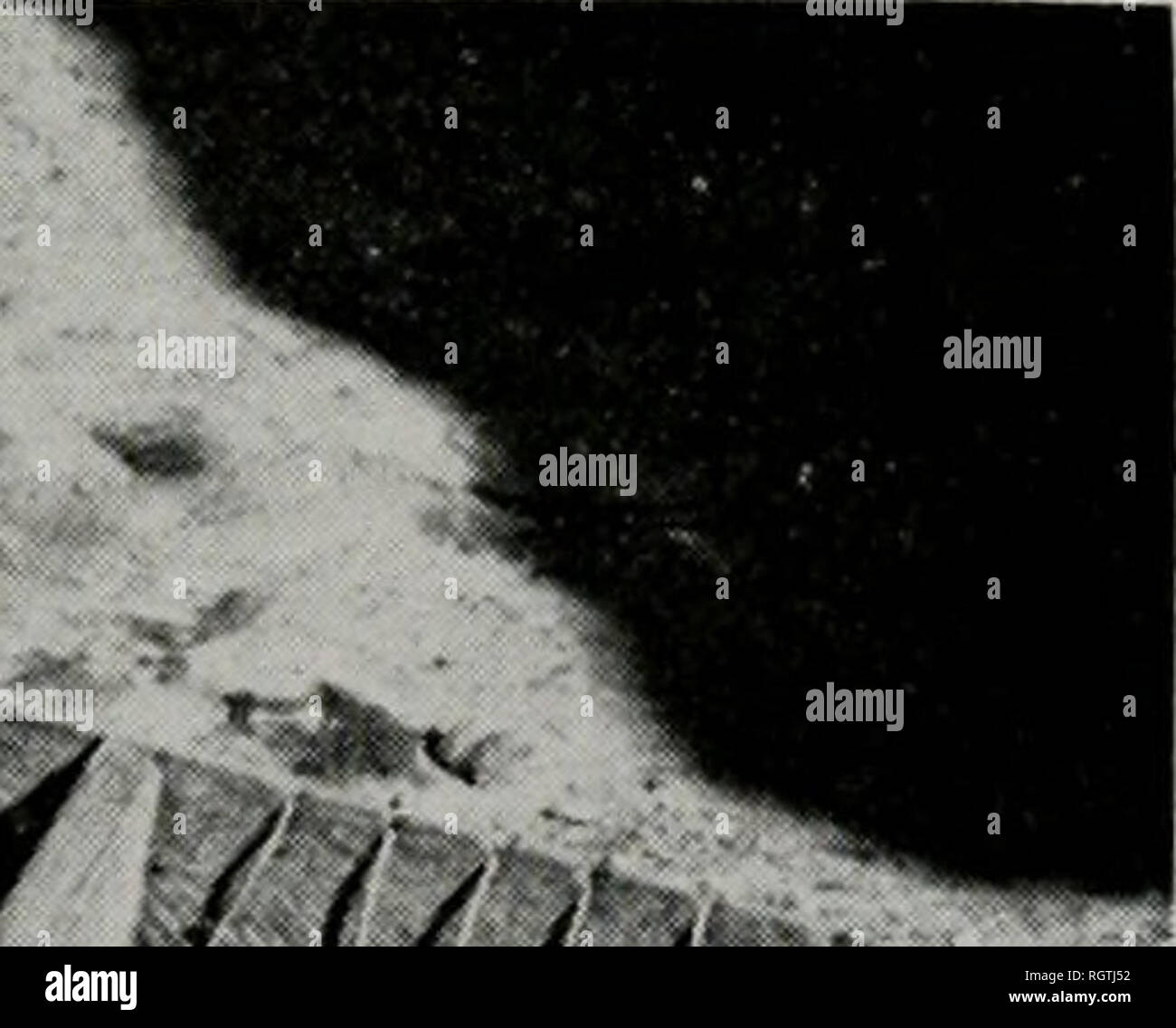 Trot line cut hi-res stock photography and images - Alamy