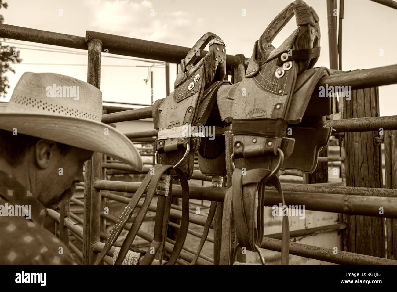 Professional rodeo cowboy Stock Photo - Alamy
