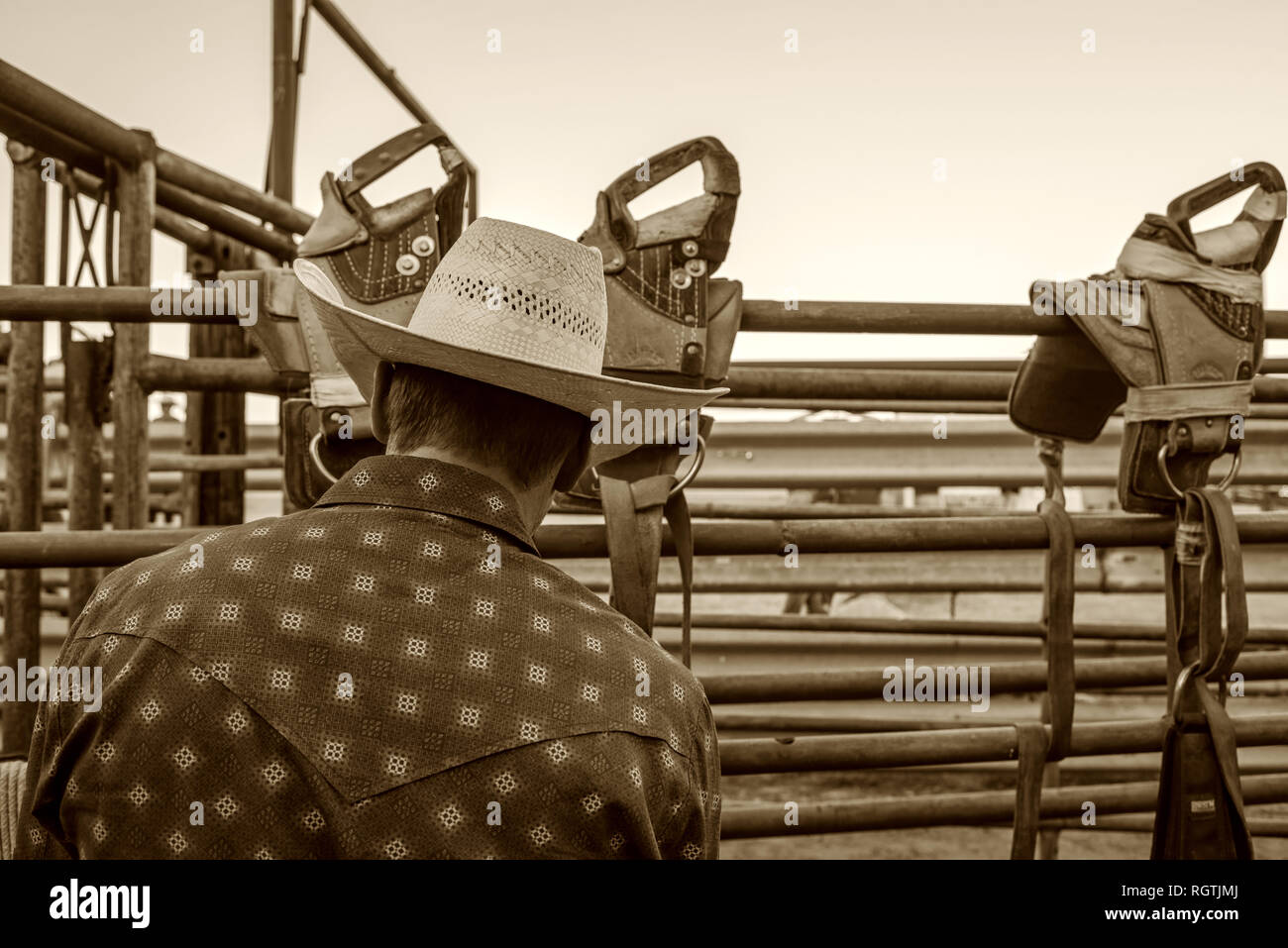 Professional rodeo cowboy Stock Photo - Alamy