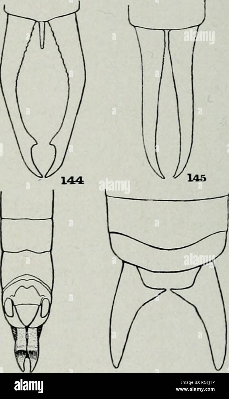 Doru Stock Photos & Doru Stock Images - Alamy