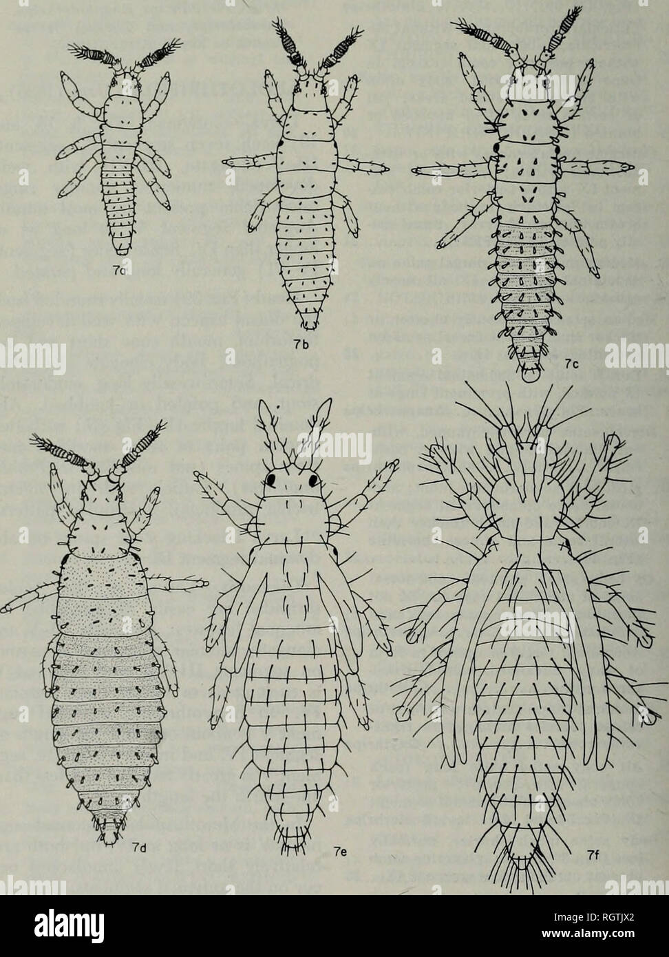 . Bulletin. Natural history; Natural history. 170 Illinois Natural ...