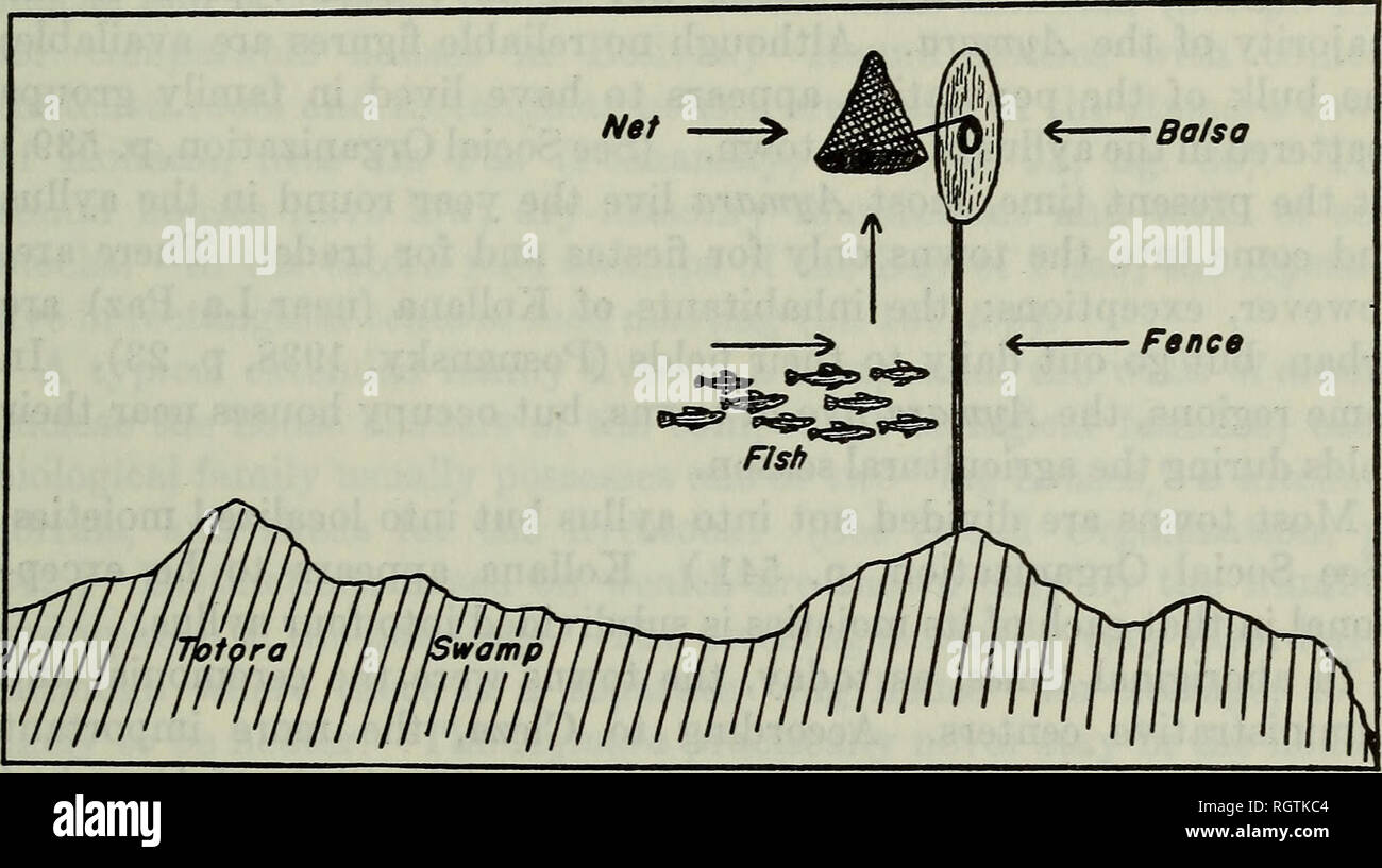 Fish stomach contents hi-res stock photography and images - Alamy