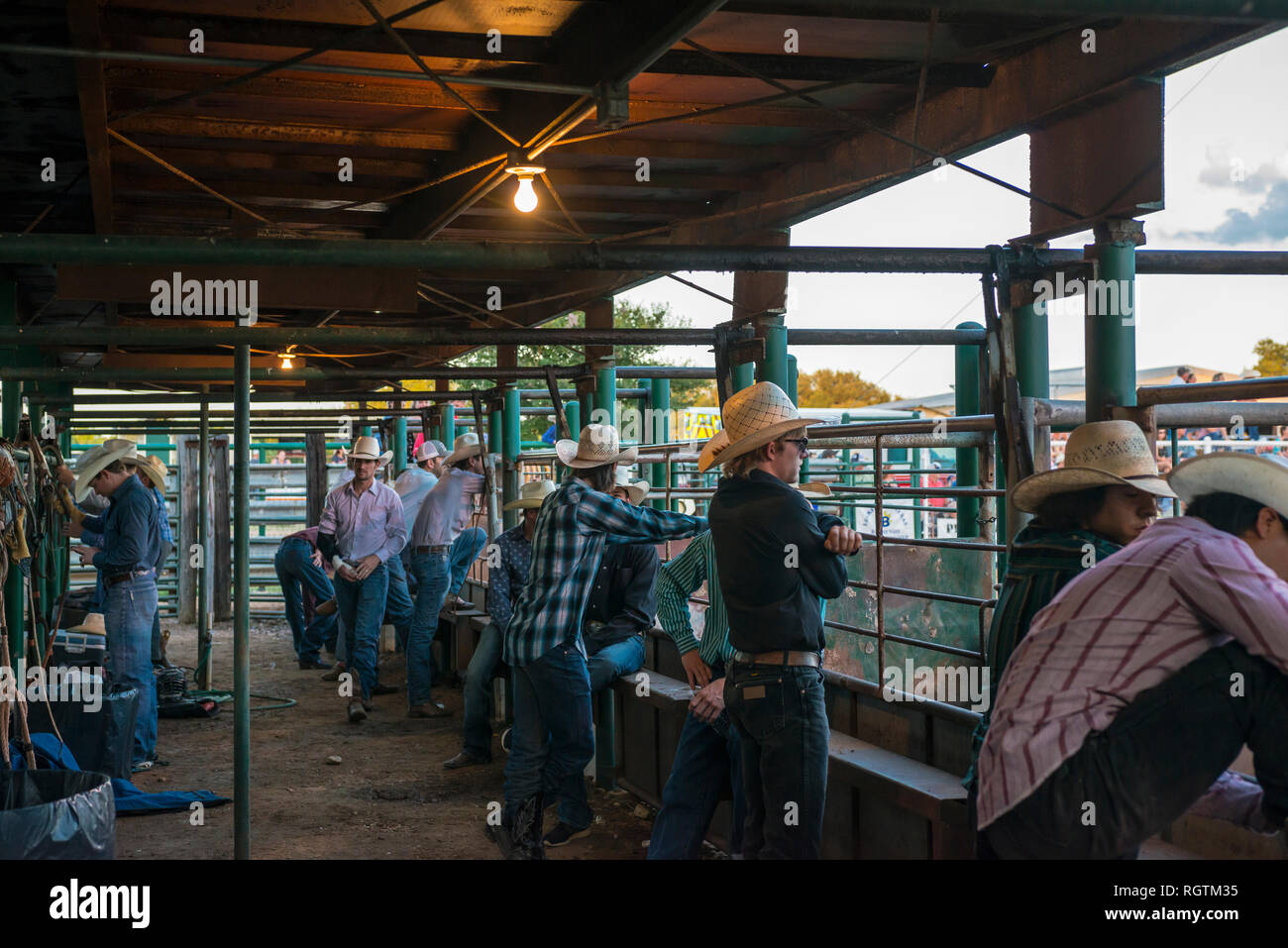 Professional rodeo cowboys Stock Photo - Alamy
