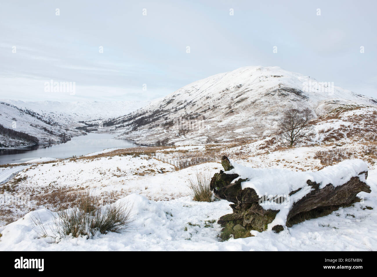 Snow covered glen finglas valley with Meall Cala / The Meall. Woodland ...