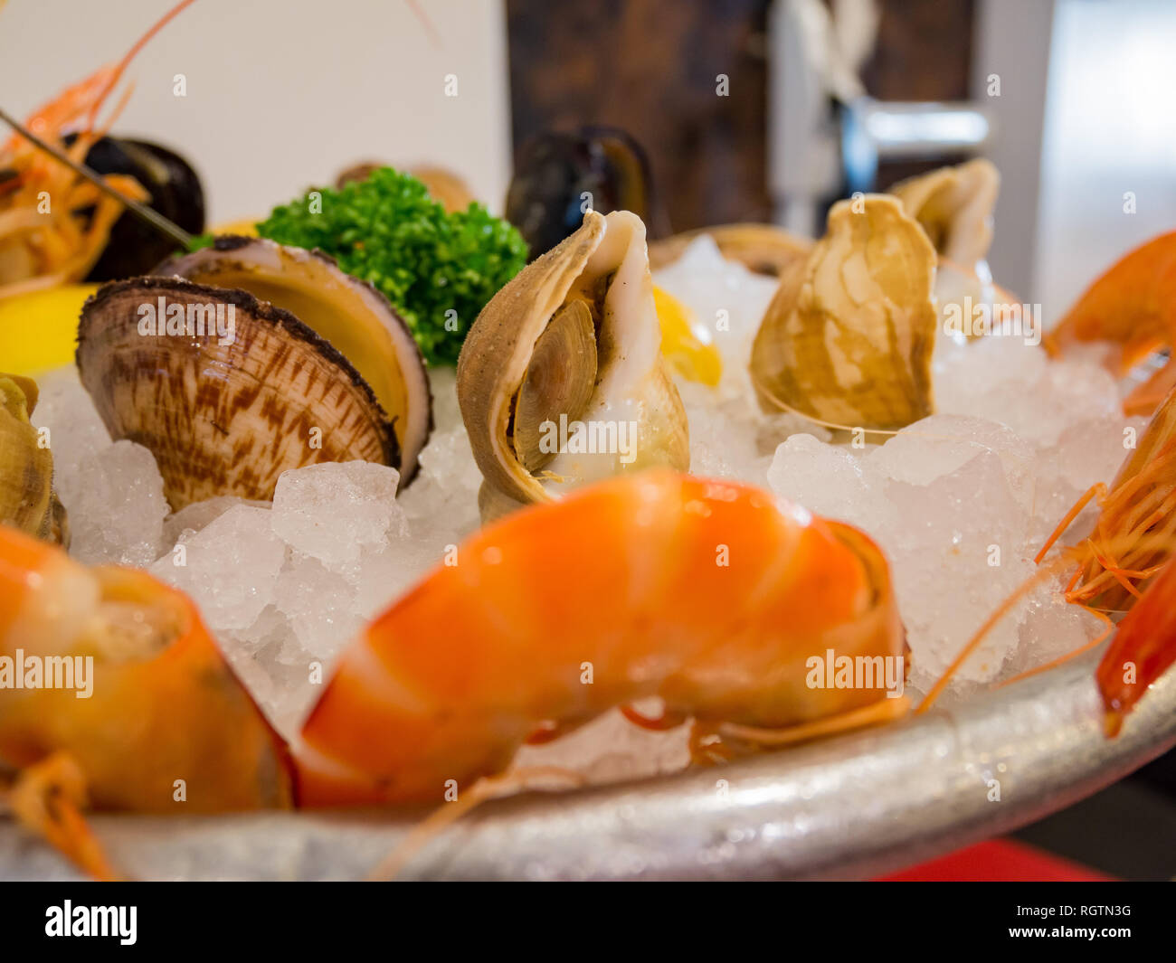 Close up shot of a seafood platter, combination of sea snails, shrimp ...
