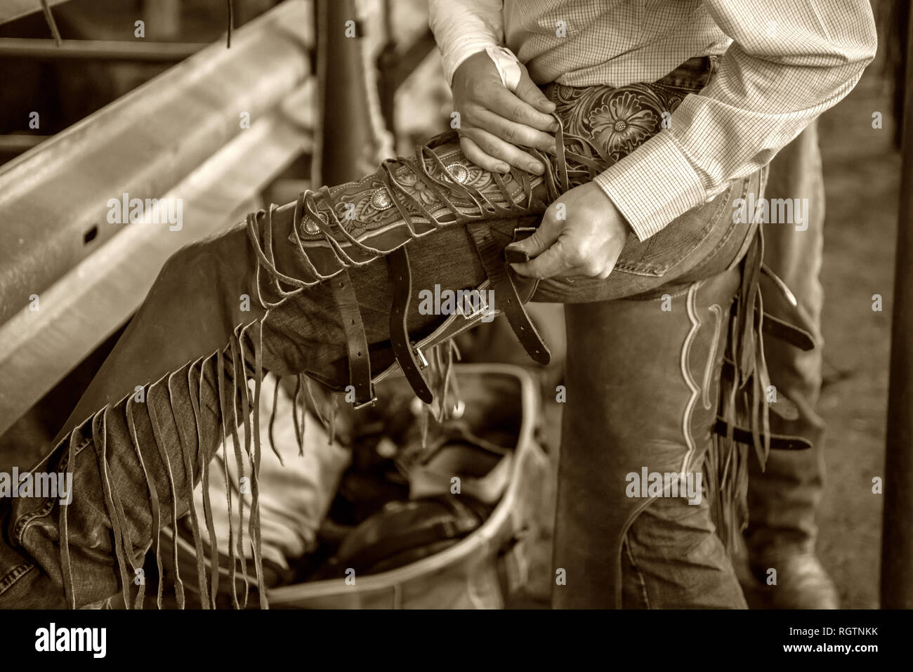 Professional cowboy hi-res stock photography and images - Alamy